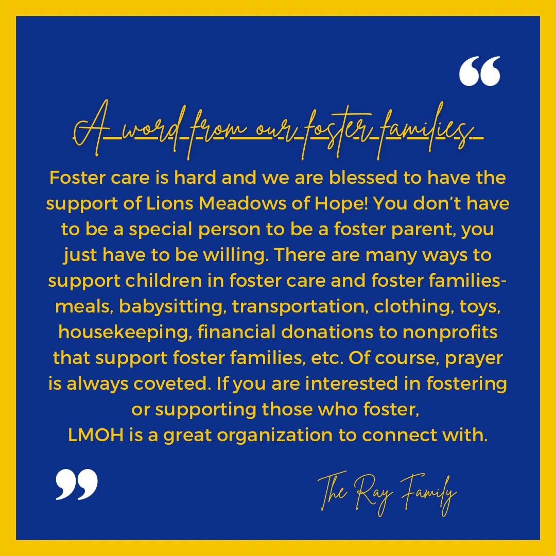 A Word From A Foster Family - Lion's Meadows of Hope
